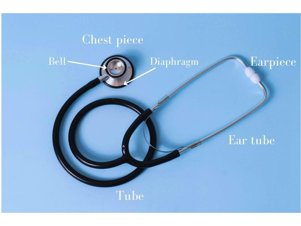 How do stethoscopes work and why are they so vital? – AUSCORA